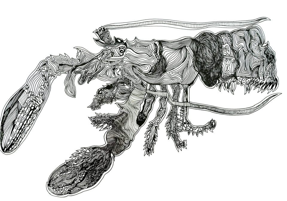 田中拓実「ザリガニ」 | ふじのくに障がい者芸術ポータルサイト Findart(ふぁいんだー)