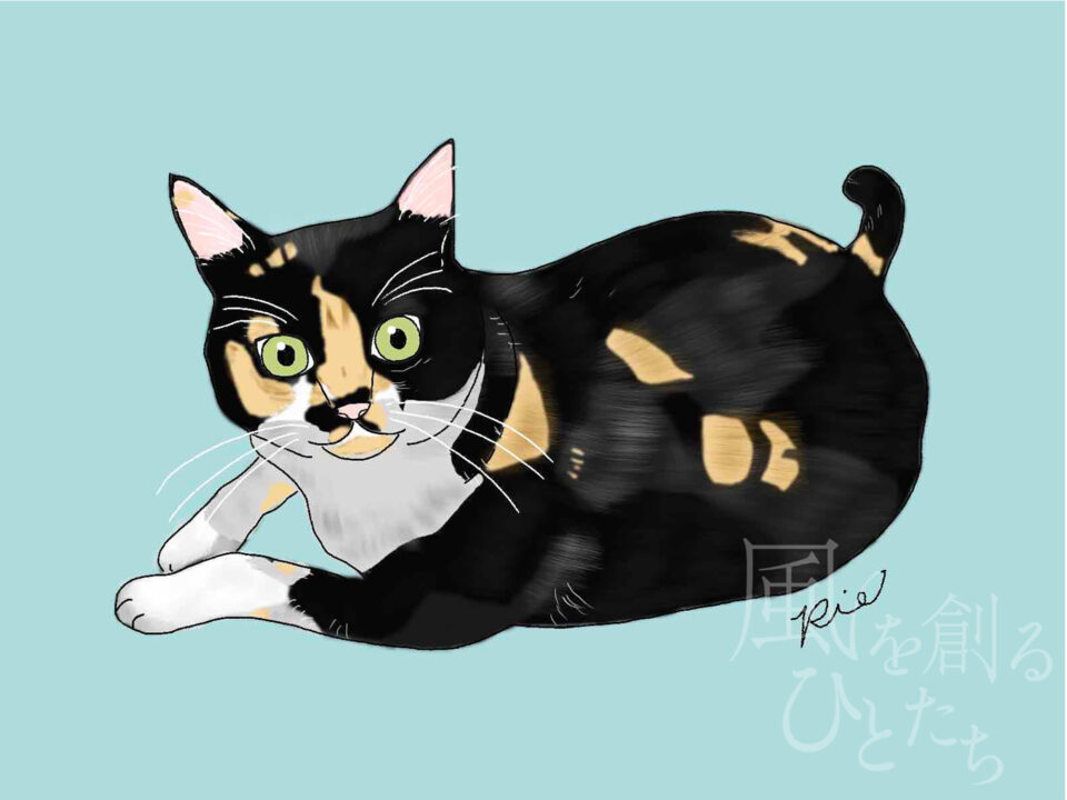 山中梨江「愛猫 -key-」 | ふじのくに障がい者芸術ポータルサイト Findart(ふぁいんだー)