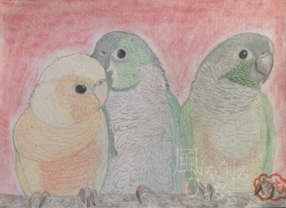 片山 八雲「3羽のウロコインコ」 | ふじのくに障がい者芸術ポータルサイト Findart(ふぁいんだー)