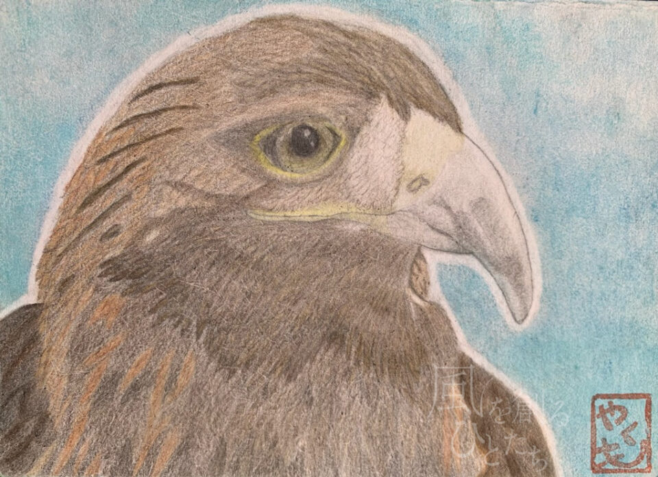 片山 八雲「イヌワシ」 | ふじのくに障がい者芸術ポータルサイト Findart(ふぁいんだー)