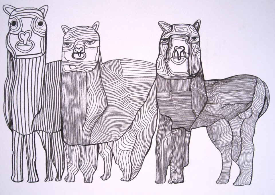 田中 拓実「アルパカ」 | ふじのくに障がい者芸術ポータルサイト Findart(ふぁいんだー)